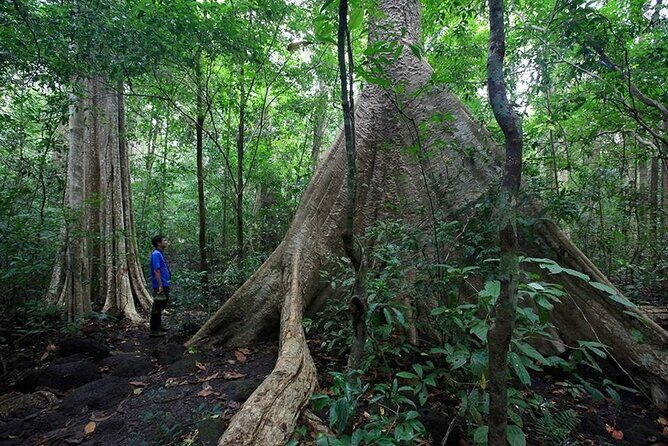 2 Days Tour in Cat Tien National Park - A Detailed Look at the 2-Day Cat Tien Tour