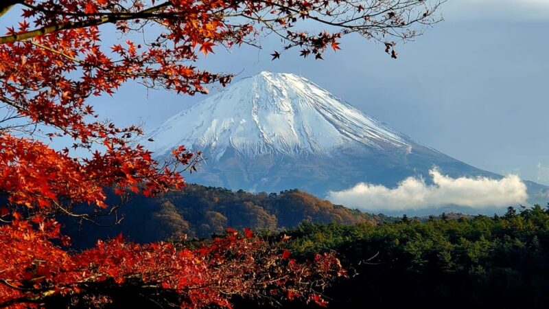 2 Days Tour: Mt. Fuji & Hakone GREEN NUMBER PLATES - Itinerary Highlights for Day 1