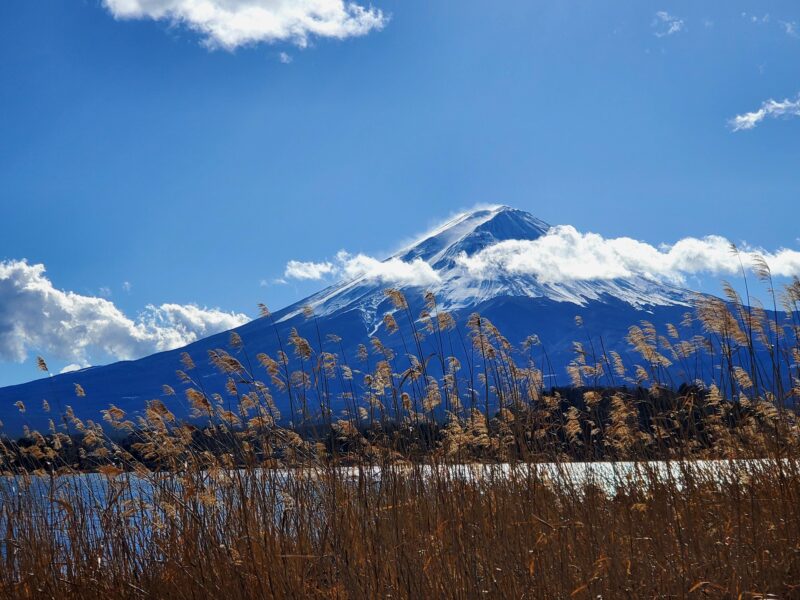 2 Days Tour: Mt. Fuji & Hakone GREEN NUMBER PLATES - Preparation and Restrictions