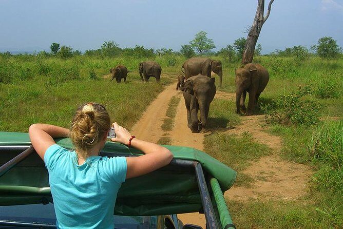2 Days Tour to Galle & Udawalawe National Park - The Wildlife Safari: Udawalawe National Park