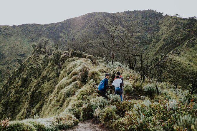 2 Days Tour to Mount Merbabu from Yogyakarta - Authentic Experiences and Traveler Insights