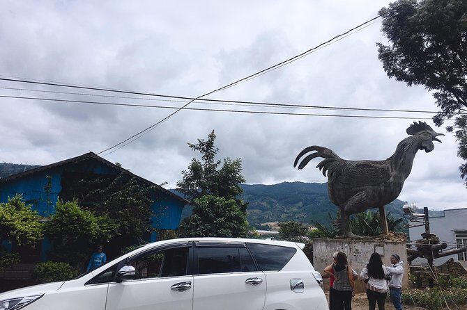 2 days VIP Special Tour - Exploring Dalat City, countryside and waterfalls - Key Points