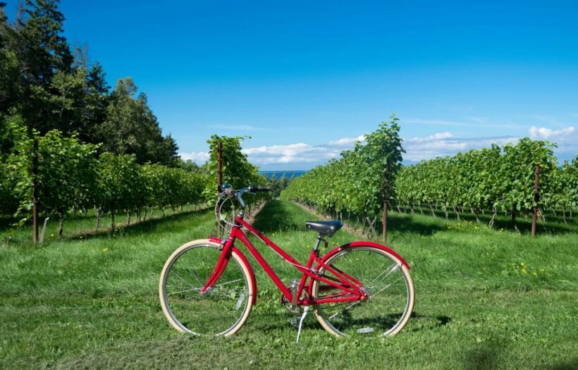 2 Days Winery Tour: 3 Wine Tastings, Local Hotel, 3 Meals - Key Points