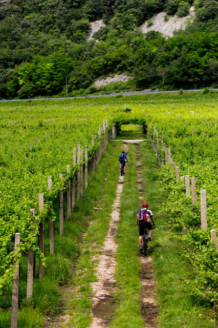 2 Days Winery Tour: 3 Wine Tastings, Local Hotel, 3 Meals - An In-Depth Look at the 2-Day Romania Winery Tour
