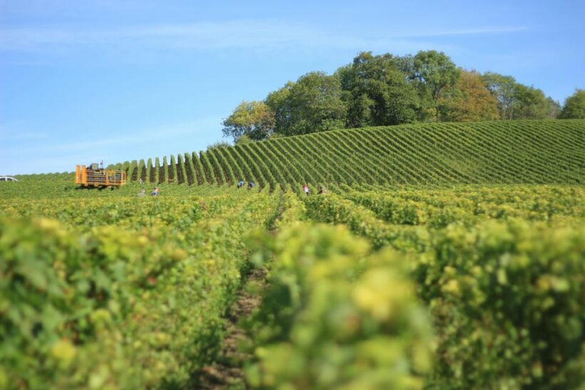 2 Days Winery Tour: 3 Wine Tastings, Local Hotel, 3 Meals - Final Thoughts: Who Should Sign Up?