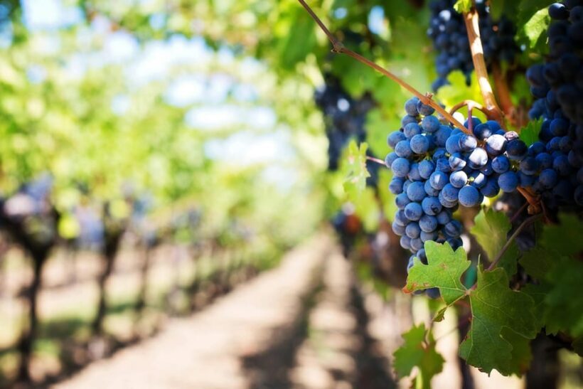 2 Days Winery Tour: 3 Wine Tastings, Local Hotel, 3 Meals - Frequently Asked Questions