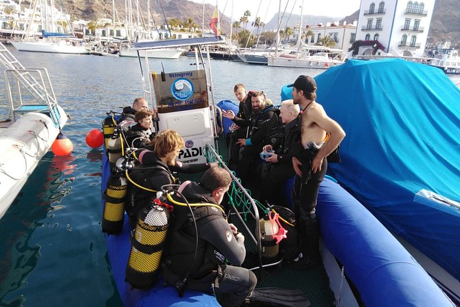 2 Dive Package for PADI Qualified Divers in Gran Canaria - The Sum Up