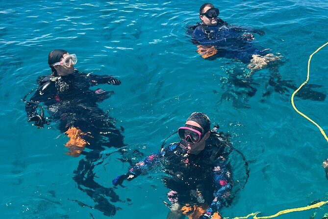 2 Dive Scuba Diving Reef Excursion to Key Largo Marine Sanctuary - Who Is This Tour Best For?