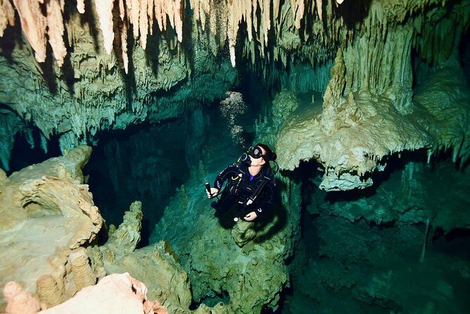 2 dives in Cenote Dos ojos Certified Divers - An Introduction to the Cenote Experience in Tulum