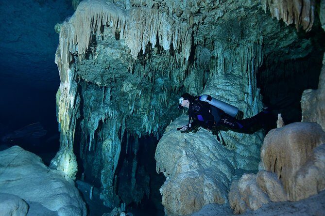 2 dives in Cenote Dos ojos Certified Divers - The Authenticity of the Experience