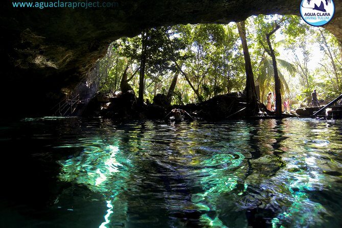 2 dives in Cenote Dos ojos Certified Divers - The Importance of Equipment and Safety
