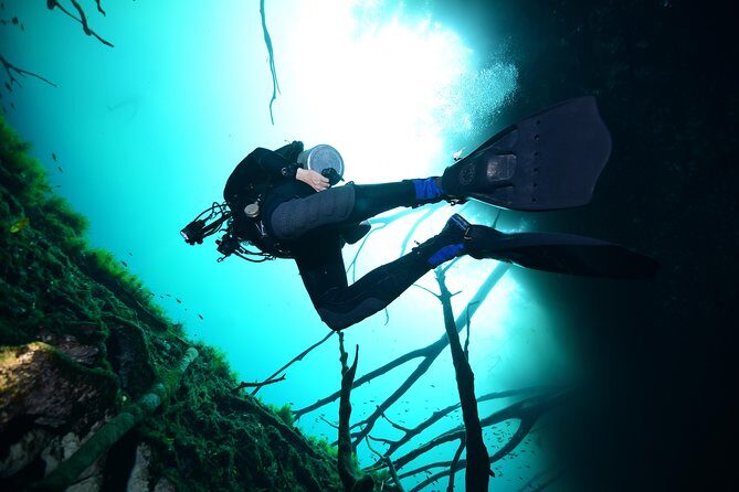2 dives in Cenote Dos ojos Certified Divers - The Sum Up