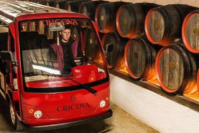 2 Excursions in One Day - Cricova Winery,Tiraspol City and Bender Fortress! - Positive Reviews and Highlights