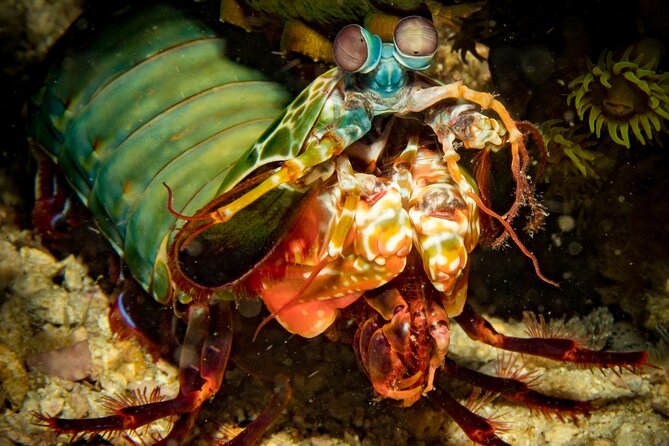 2 Fun Divers for Certified Divers in Thailand - Key Points