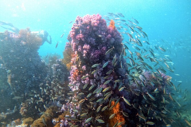 2 Fun Divers for Certified Divers in Thailand - Transportation, Price, and Booking