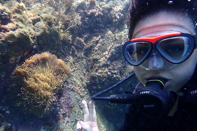 2 Fun Dives for certified Divers - Final Thoughts: Who Should Consider This Tour?