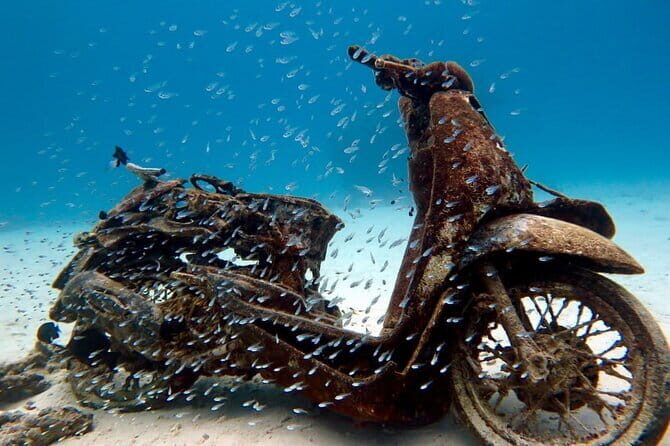 2 Fun Dives in Racha Yai or Noi for Certified Divers - The Experience: Authentic and Safe