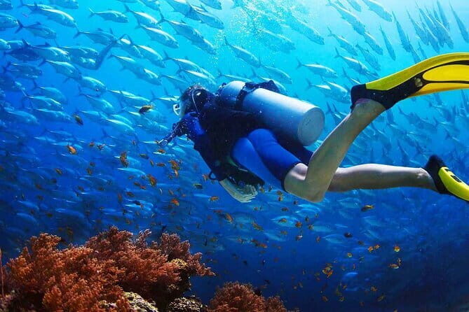 2 Fun Dives in Racha Yai or Noi for Certified Divers - FAQ