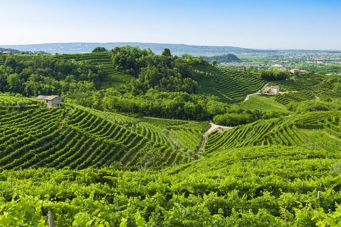 2 Guests Private Prosecco Road Tour All Inclusive From Conegliano - Key Points