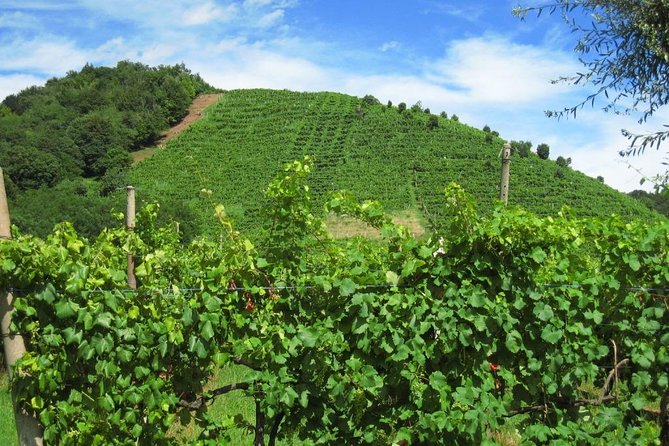 2 Guests Private Prosecco Road Tour All Inclusive From Conegliano - Meeting and Pickup