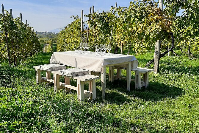 2 Guests Private Prosecco Road Tour All Inclusive From Conegliano - Additional Information