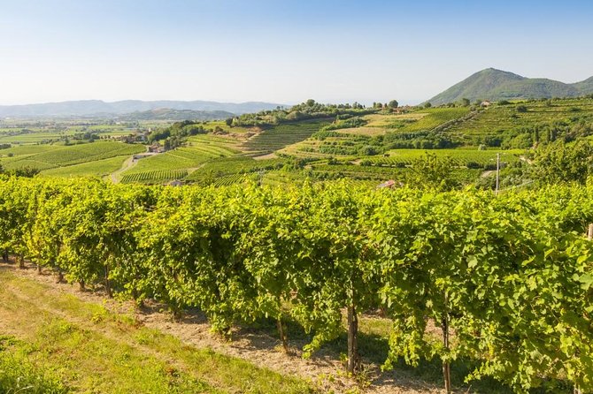 2 Guests Private Prosecco Road Tour All Inclusive From Conegliano - Guest Reviews