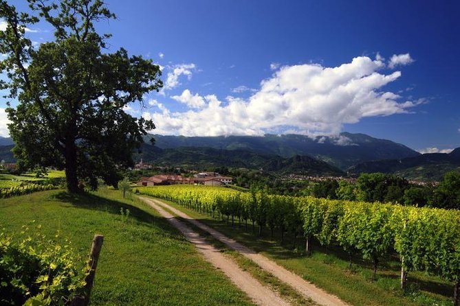 2 Guests Private Prosecco Road Tour All Inclusive From Conegliano - Exploring Conegliano and Valdobbiadene
