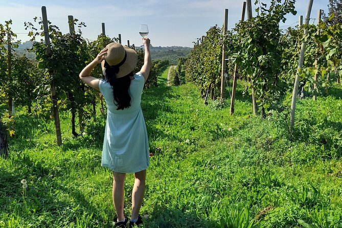 2 Guests Private Prosecco Road Tour All Inclusive From Venice - Highlights of the Tour Experience