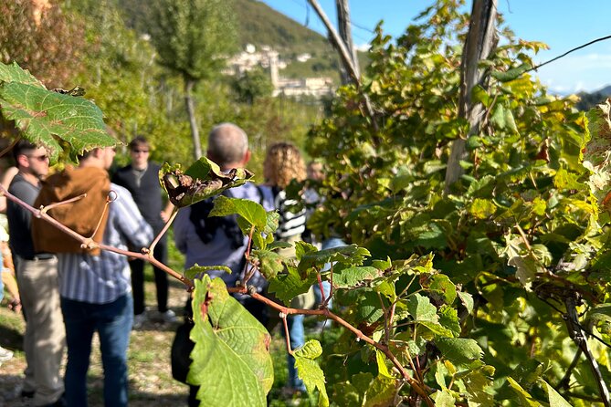 2 Guests Private Prosecco Road Tour All Inclusive From Venice - Tasting and Lunch Inclusions