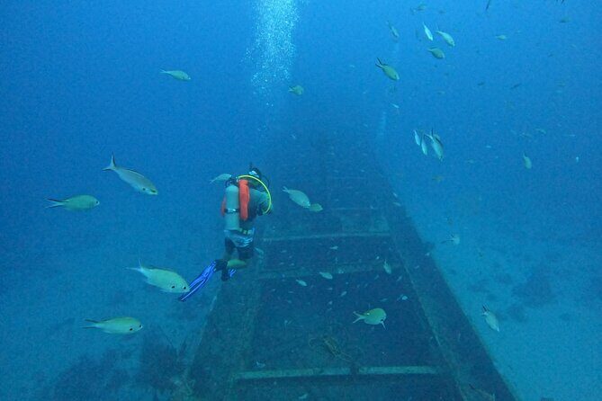2 guided shore dives in Curacao - An In-Depth Look at the Tour