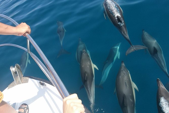 2 H Estepona Bay Tour - Guest Reviews