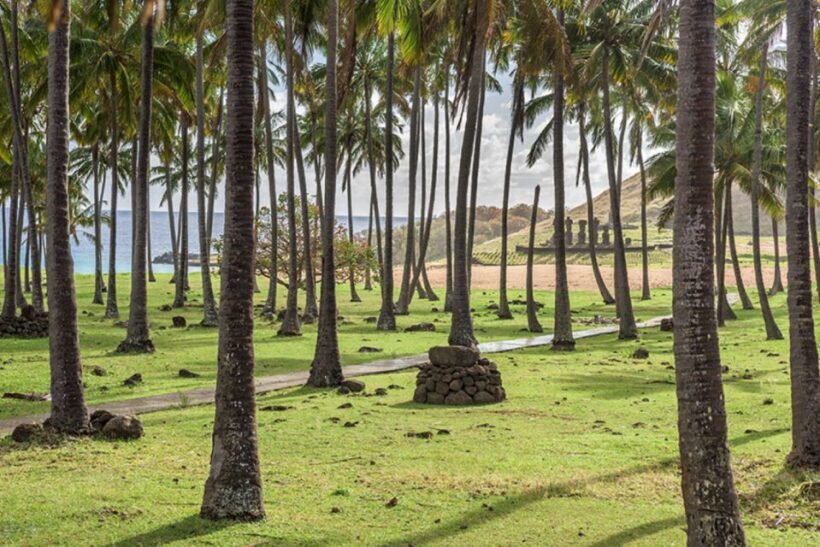 2 Half Days & 2 Full Days Private Tours | OPTION A - Final Thoughts