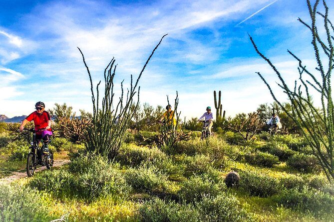2-Hour Arizona Desert Guided E-Bike Tour - Detailed Breakdown of the Itinerary