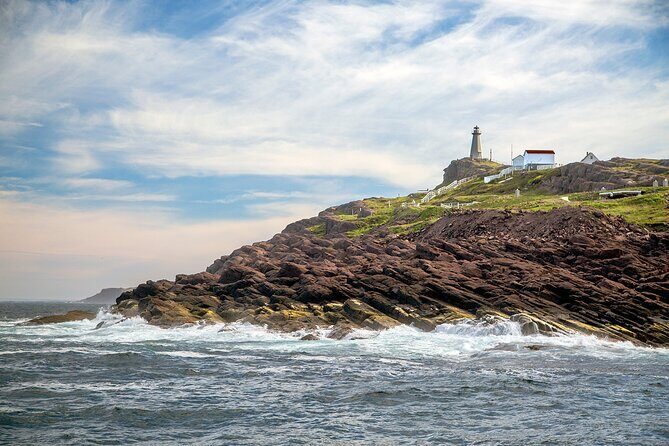 2 Hour Award-Winning Whale and Seabird Boat Tour from St. John's - FAQ