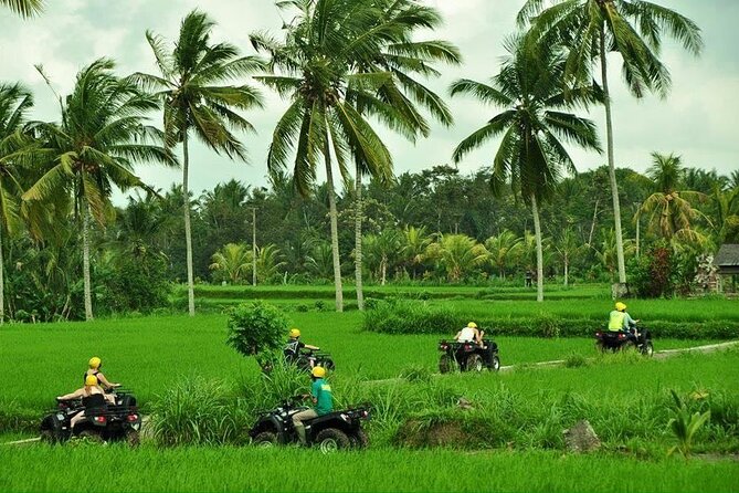 2 hour Bali ATV Ride Ubud waterfall jungle and rice fild track - A Closer Look at the Bali ATV Experience