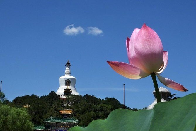 2-Hour Beijing Private Jingshan Coal Hill Park and Beihai Park Walking Tour - Who Will Enjoy This Tour?