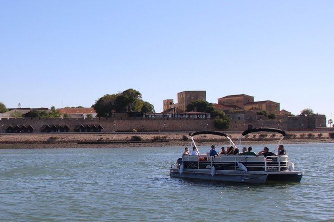 2-hour Bird Watching Guided Boat Trip in Ria Formosa from Faro Algarve - A Closer Look at the Experience