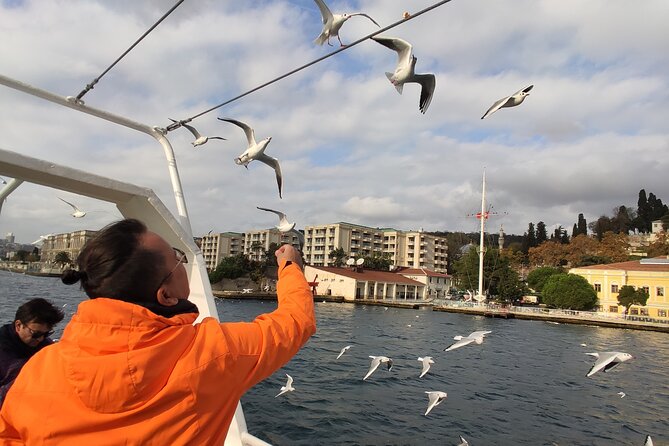 2-Hour Bosphorus Cruise in Istanbul With Guide - Inclusions and Logistics