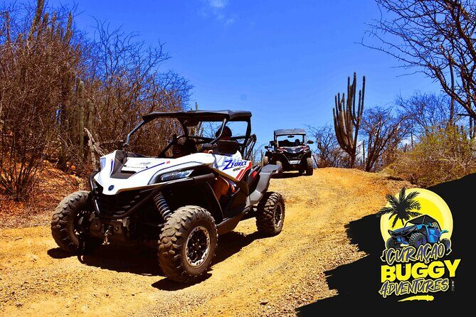 2-Hour Buggy Adventure Tour in Curacao - An In-Depth Look at the Tour
