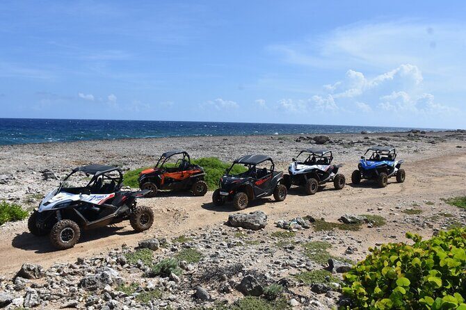2-Hour Buggy Adventure Tour in Curacao - Final Thoughts