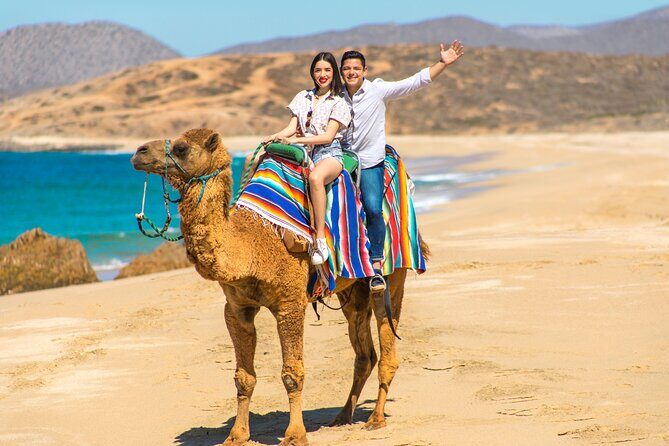 2-Hour Camel Ride Beach and Desert Adventure Experience - A Genuine Look at the 2-Hour Camel Ride Beach and Desert Adventure in Cabo San Lucas