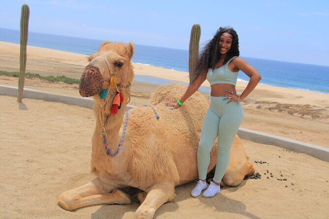 2-Hour Camel Ride Beach and Desert Adventure Experience - An Honest Look at the Adventure