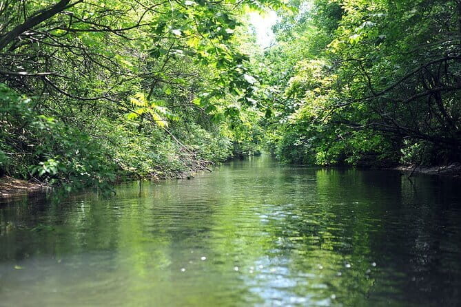 2 Hour Canoe on the Bibi River - Key Points