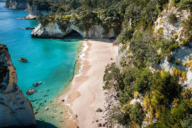 2 Hour Cathedral Cove and Volcanic Coast Cruise with Shade Canopy - Who Will Love This Experience?