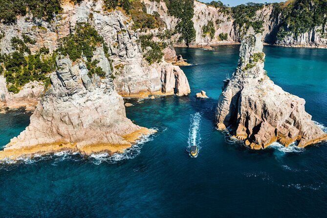 2 Hour Cathedral Cove and Volcanic Coast Cruise with Shade Canopy - Final Thought