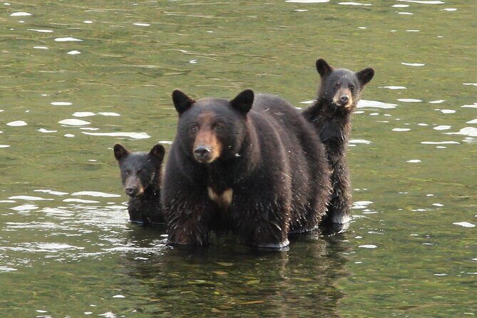 2 Hour Custom Wildlife and Historical Tour - Who Will Love This Tour?
