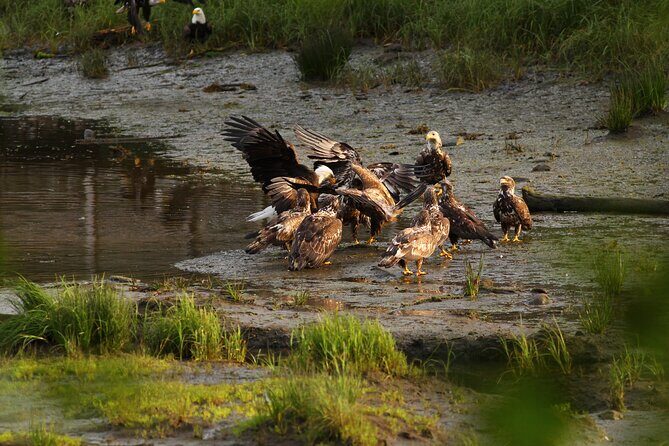 2 Hour Custom Wildlife and Historical Tour - FAQ