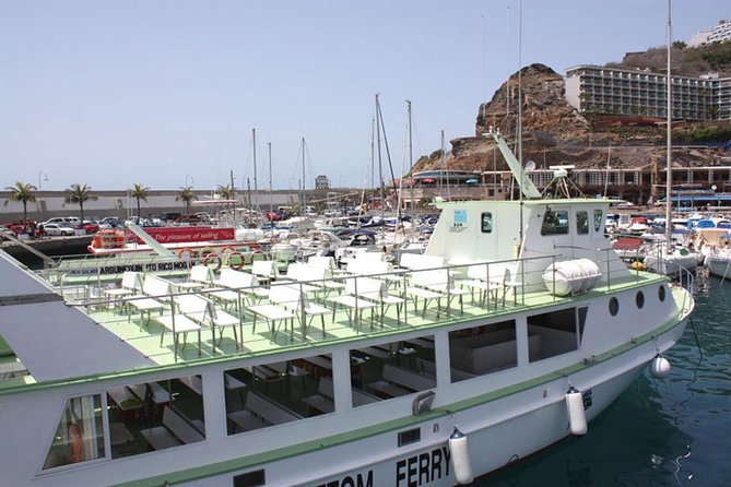 2-Hour Dolphin and Whale Watching in Gran Canaria - Accessibility and Transportation
