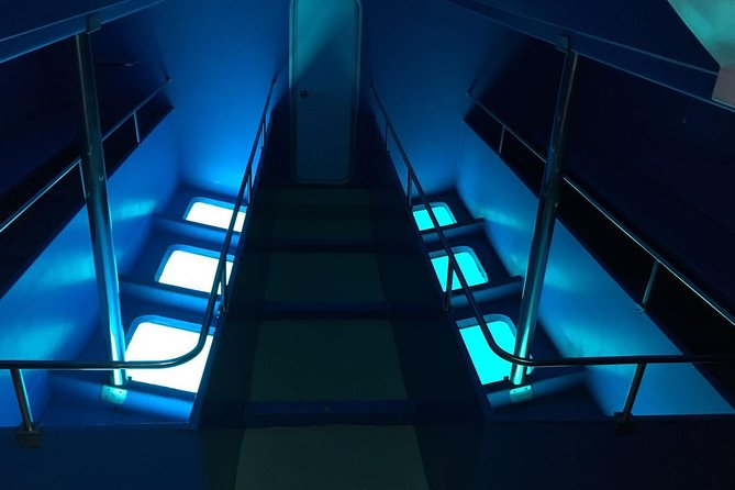 2-Hour Dolphin and Whale Watching in Gran Canaria - Booking and Cancellation Policy