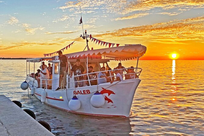 2-Hour Dolphin Guided Safari NP Brijuni from Fazana - Key Points